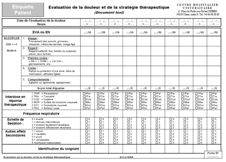 Fiche IDE : Dossier de soins - Notion Infirmier