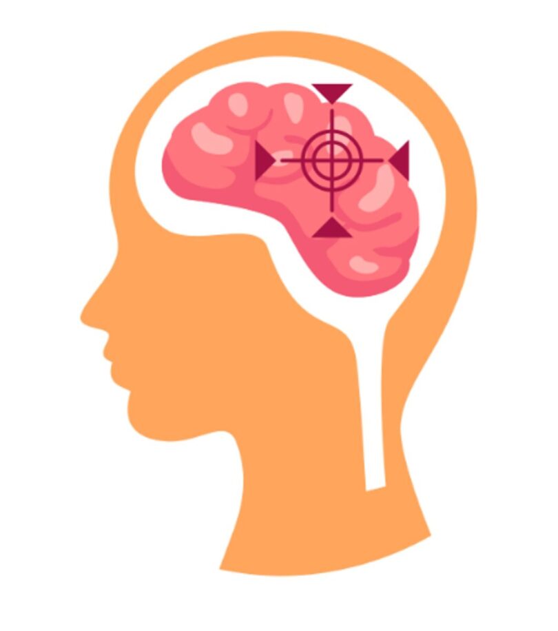 Fiche IDE : l'Accident Vasculaire Cérébral (AVC)